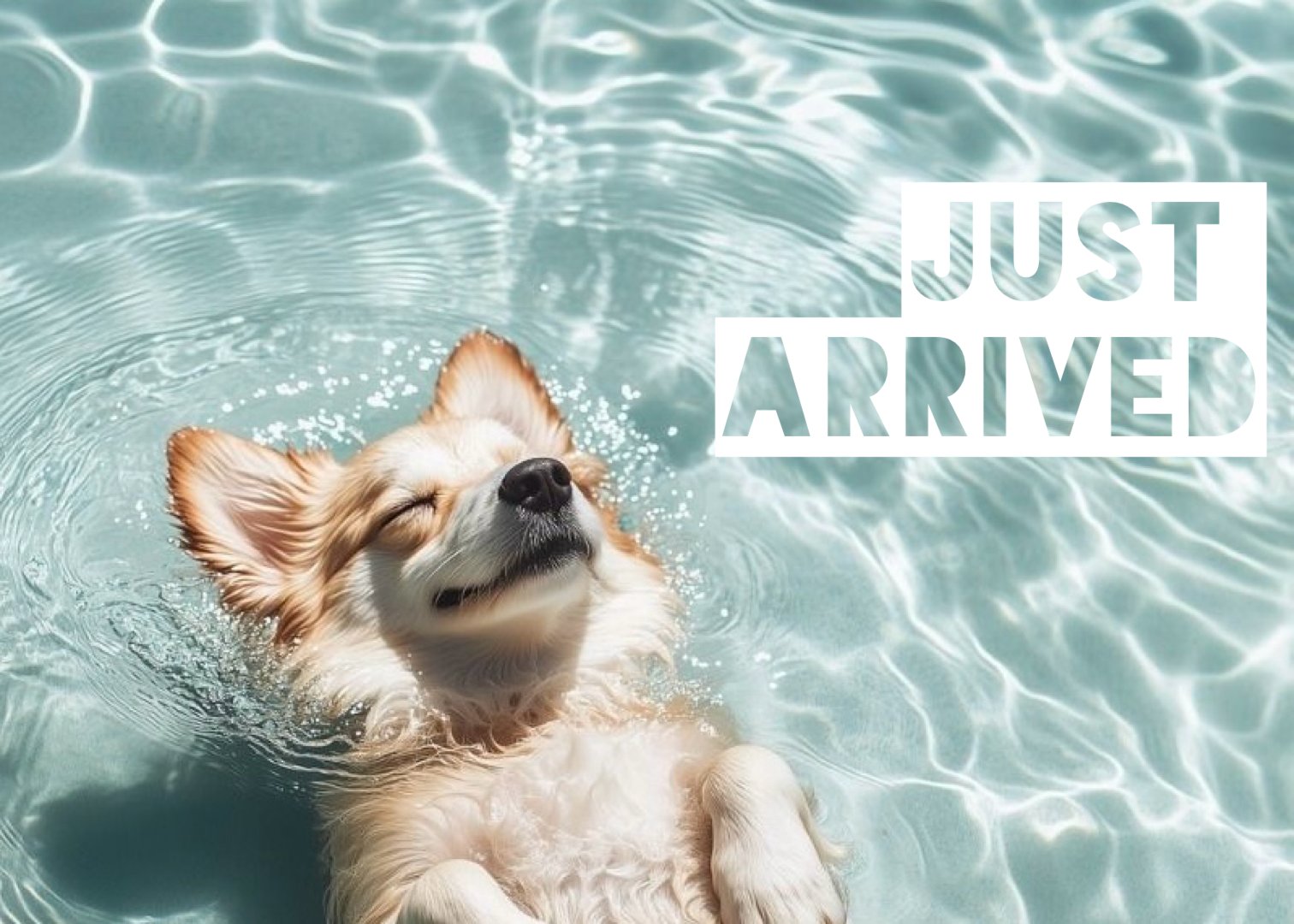 New! | Emma Neale Handmade